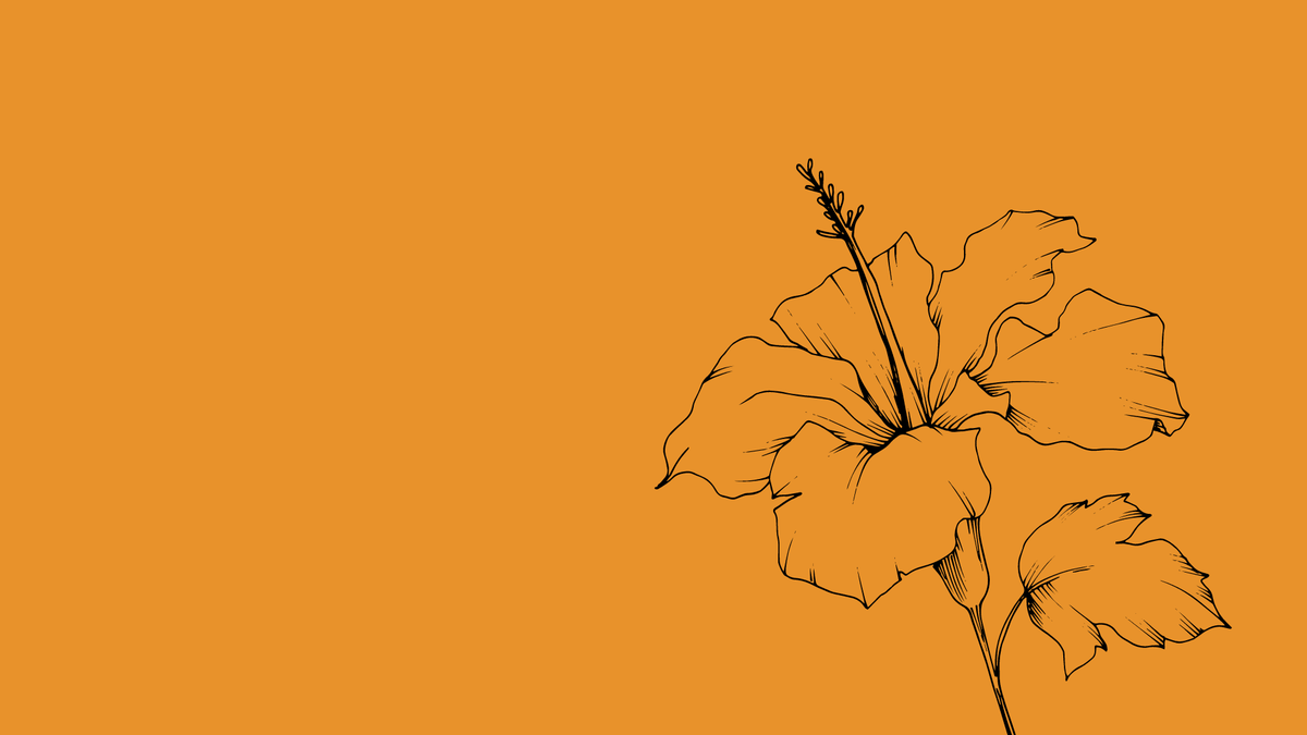 Four Shells Kava Lounge